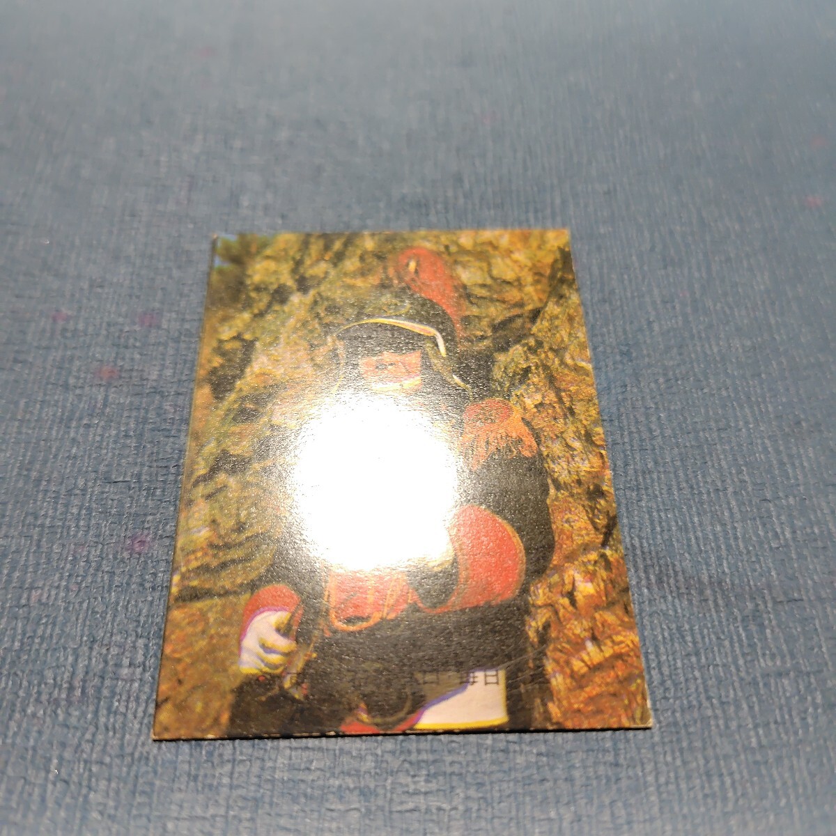 Yahoo!オークション - 旧カルビー仮面ライダーカード 508番 YR21版 極...