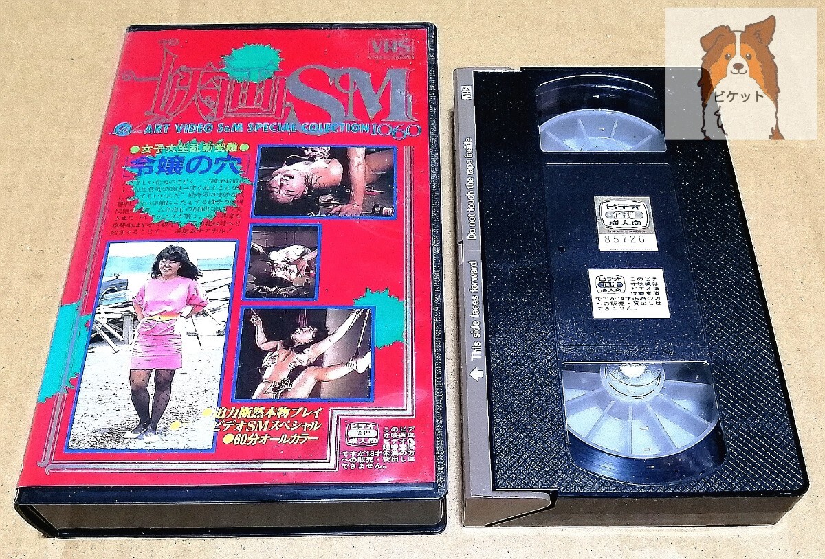 妖画SM 女子大生乱菊受難 令嬢の穴 姫川京子 VHS :: Yahoo!Auction｜DEJAPAN - Bid and Buy Japan with 0% commission