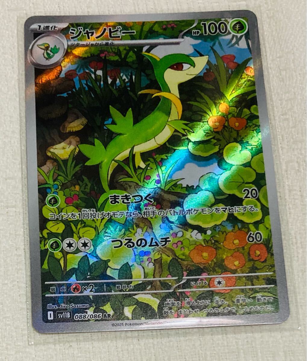 Yahoo!オークション - ポケモンカード ジャノビー sv11B AR