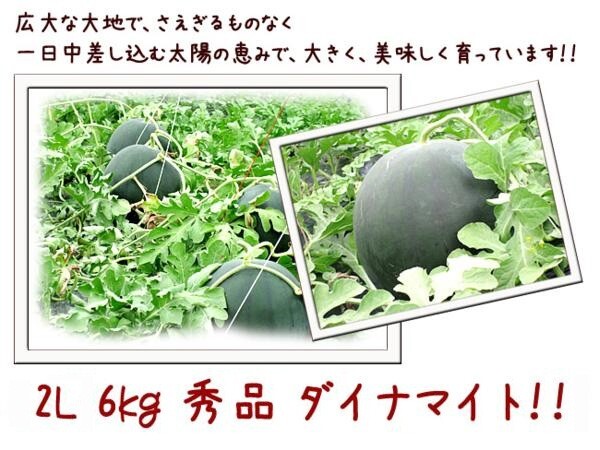 Yahoo!オークション - ダイナマイトスイカ (秀品 2L 6kg以上) 北海道月...