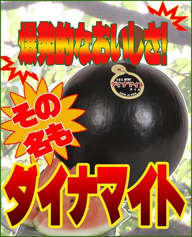 Yahoo!オークション - ダイナマイトスイカ (秀品 2L 6kg以上) 北海道月...