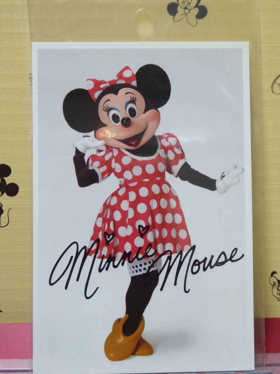 Yahoo!オークション - TDL ディズニランド ミニー・ポストカード TDR/T...