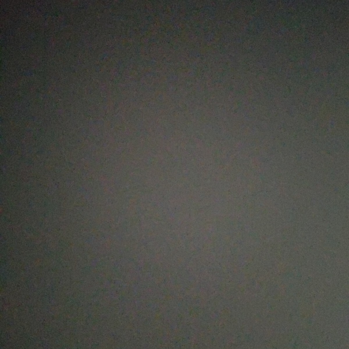 Yahoo!オークション - 【487-QTP】収蔵品放出 古玩 大明宣徳 純銀竹子...