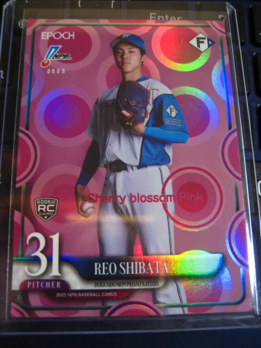 Yahoo!オークション - 【柴田獅子】EPOCH 2025 NPB ベースパラレル/5枚...