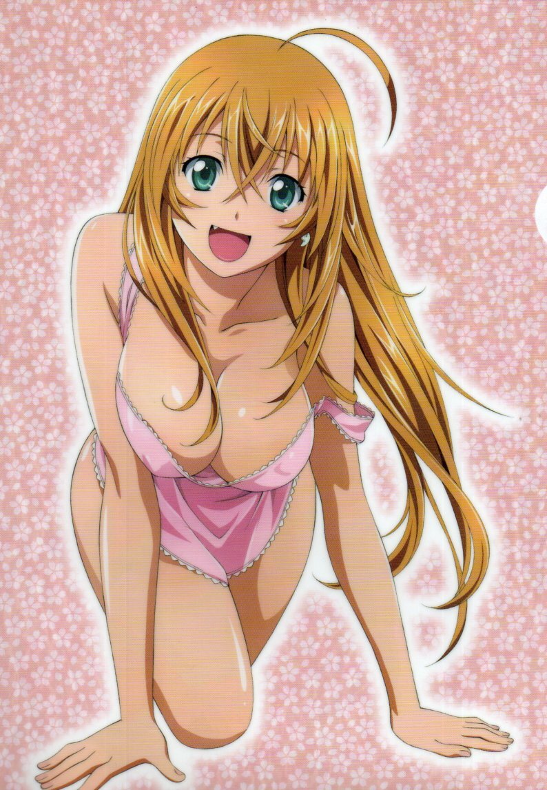 Yahoo!オークション - Y1-1 一騎当千 孫策伯符 クリアファイル