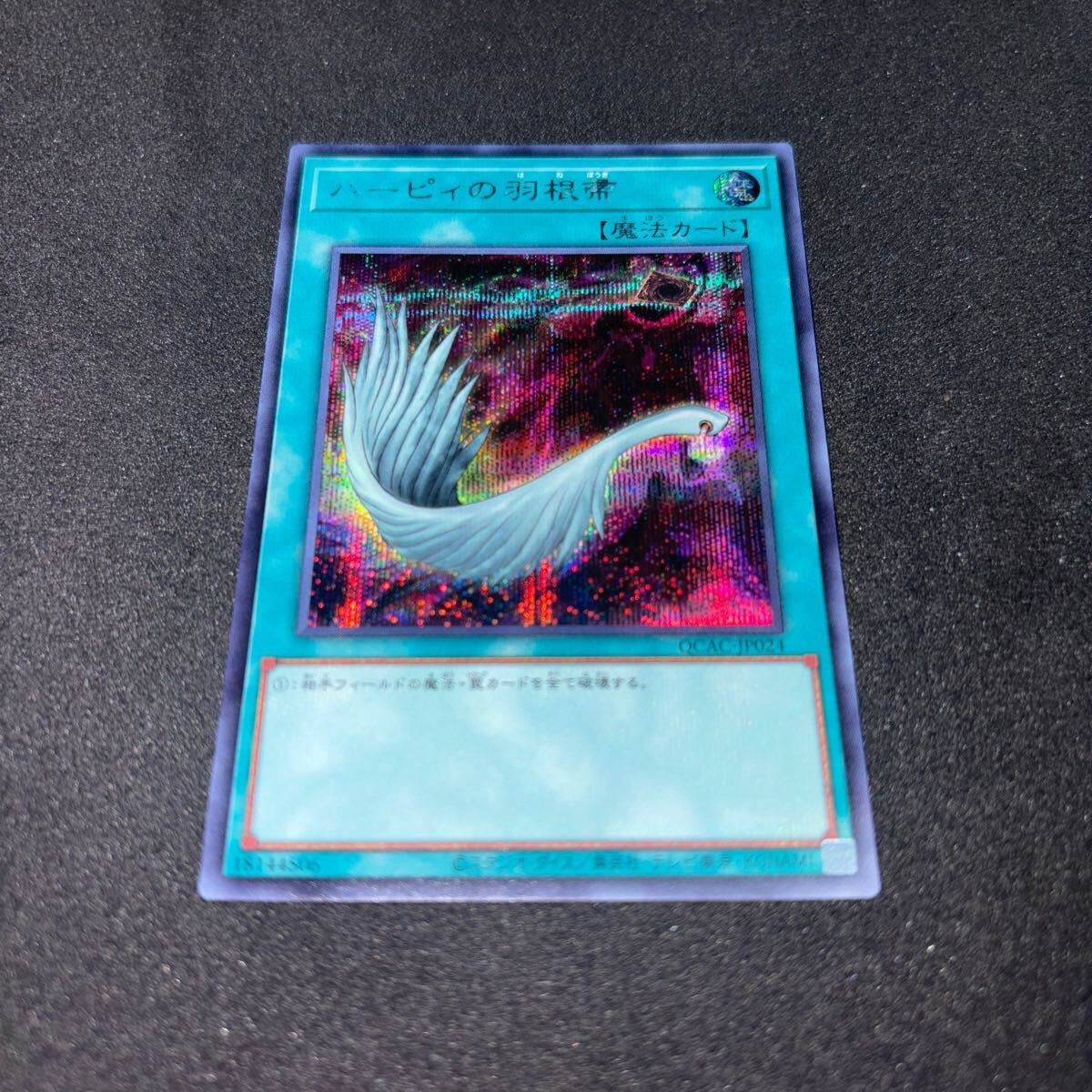 遊戯王 OCG QUARTER CENTURY ART COLLECTION QCAC-JP024 SE ハーピィの羽根帚(【削除予定】その他)｜売買されたオークション情報、yahooの商品 ...