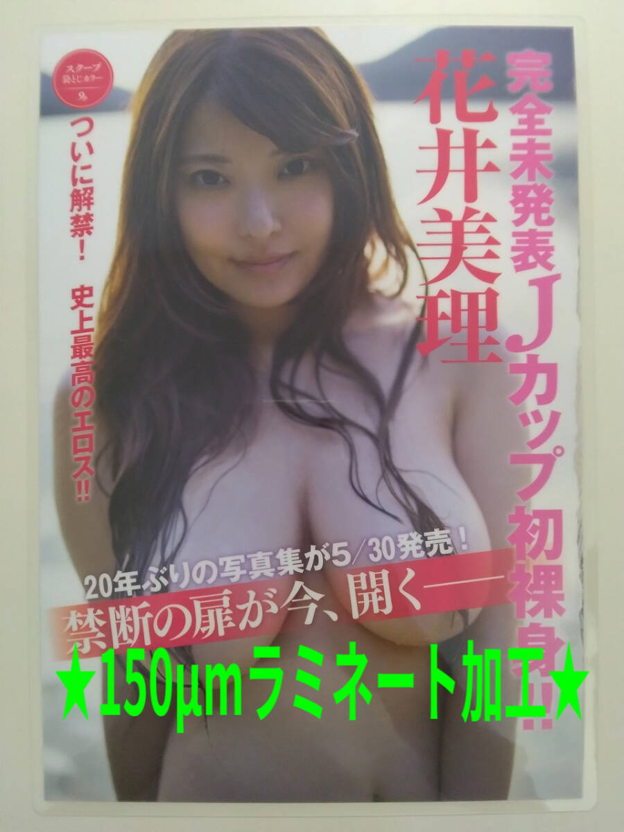 Yahoo!オークション - A215《切り抜き》【花井美理・紫藤るい 11P】厚...