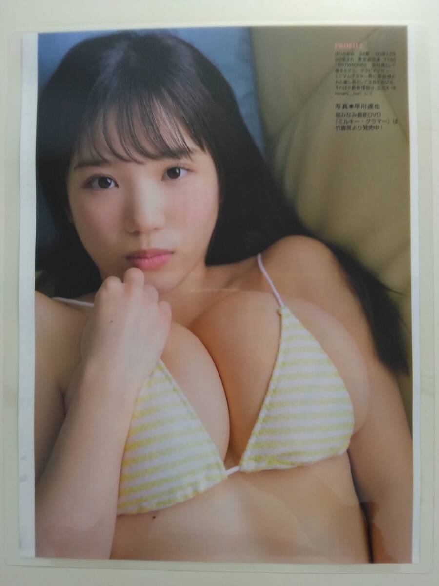 Yahoo!オークション - A265《切り抜き》【堀みなみ 4P】厚手ラミネート...