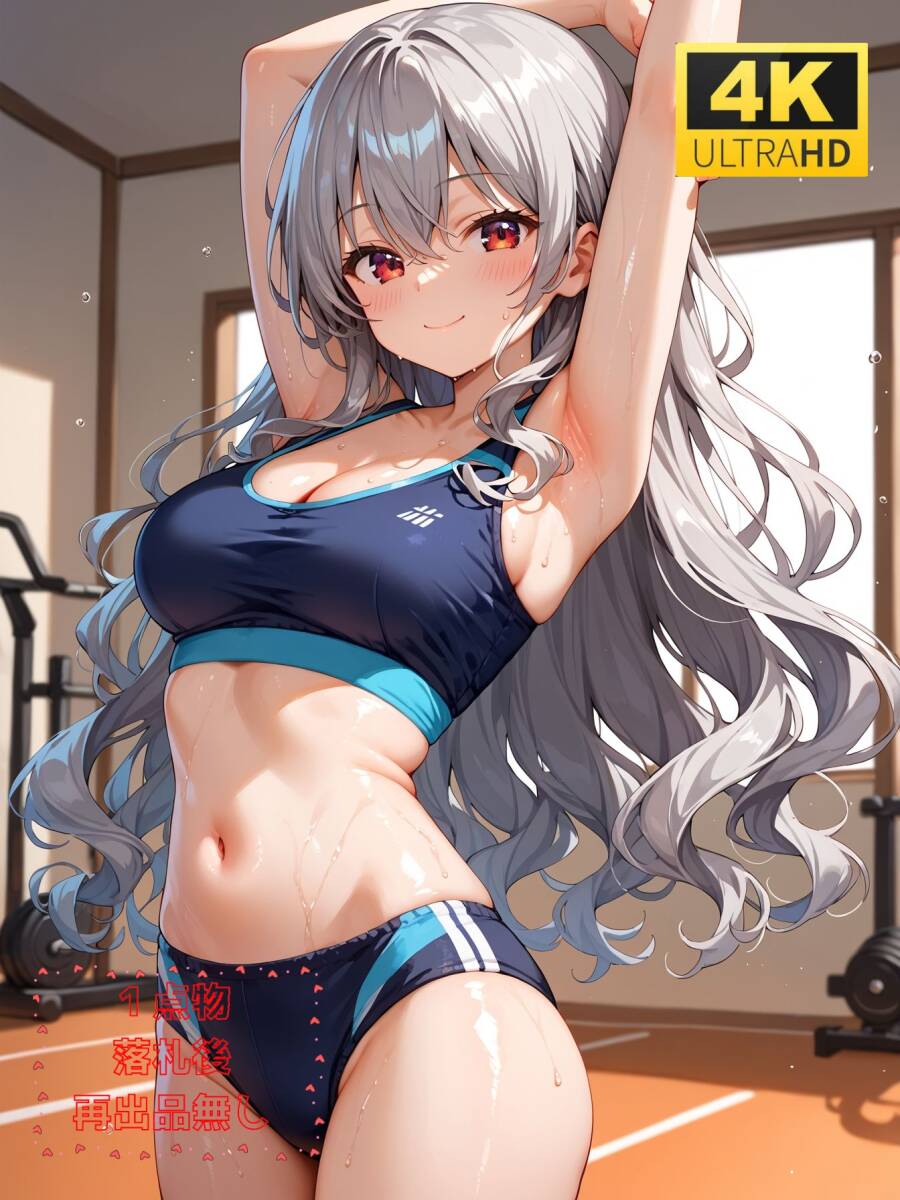 Yahoo!オークション - 51-0008 コスプレ スポーツ ブルマ イラスト ア...