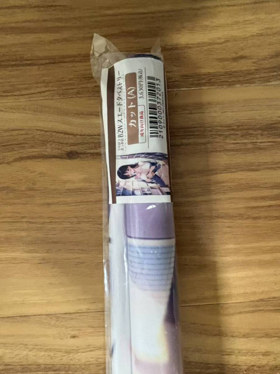 Yahoo!オークション - B2Wスエードタペストリー カット(A)【C101 Memor...