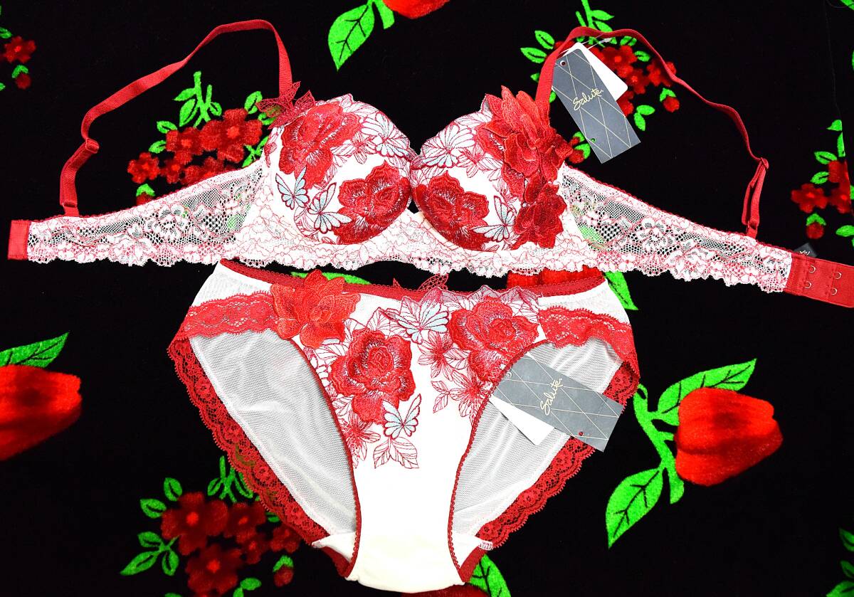 Yahoo!オークション - 新品・タグ付き ワコール サルート 83G・ホリ...