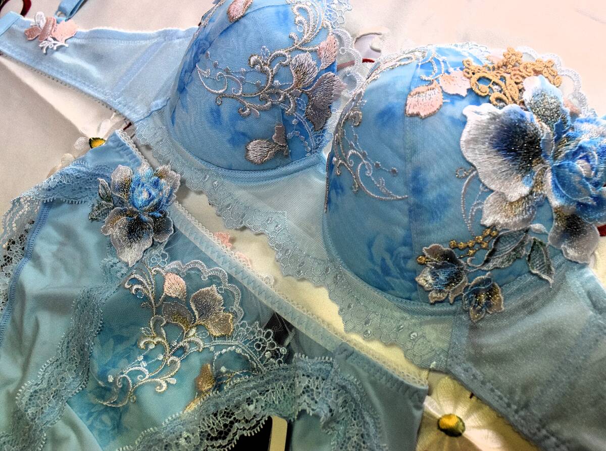 Yahoo!オークション - 新品・タグ付き ワコール サルート 91Gラブコ...