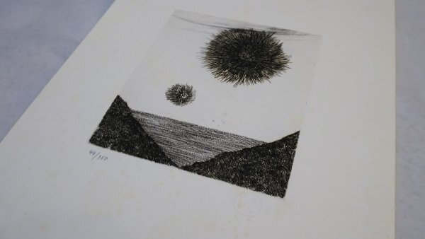 Yahoo!オークション - S342 美術品【駒井哲郎 オリジナル銅版画「海鳴...