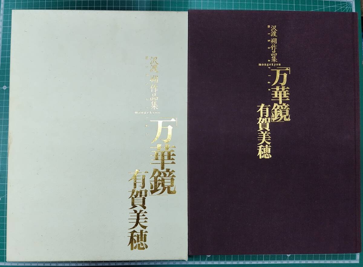 Yahoo!オークション - 沢渡朔 作品集 「万華鏡」有賀美穂 写真集 フリ...