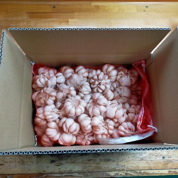 Yahoo!オークション - 黒ニンニクに最適 3kg 25年度和歌山産 皮な...