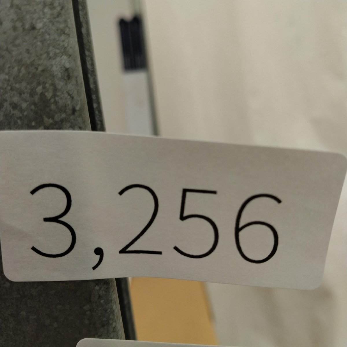 Yahoo!オークション - 3256 「塊根植物」パキポディウム グラキリスXL ...