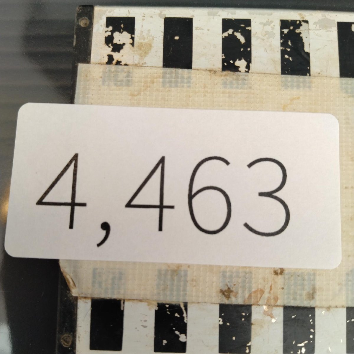 Yahoo!オークション - 4463 「エアプランツ」tillandsia latifolia × ...