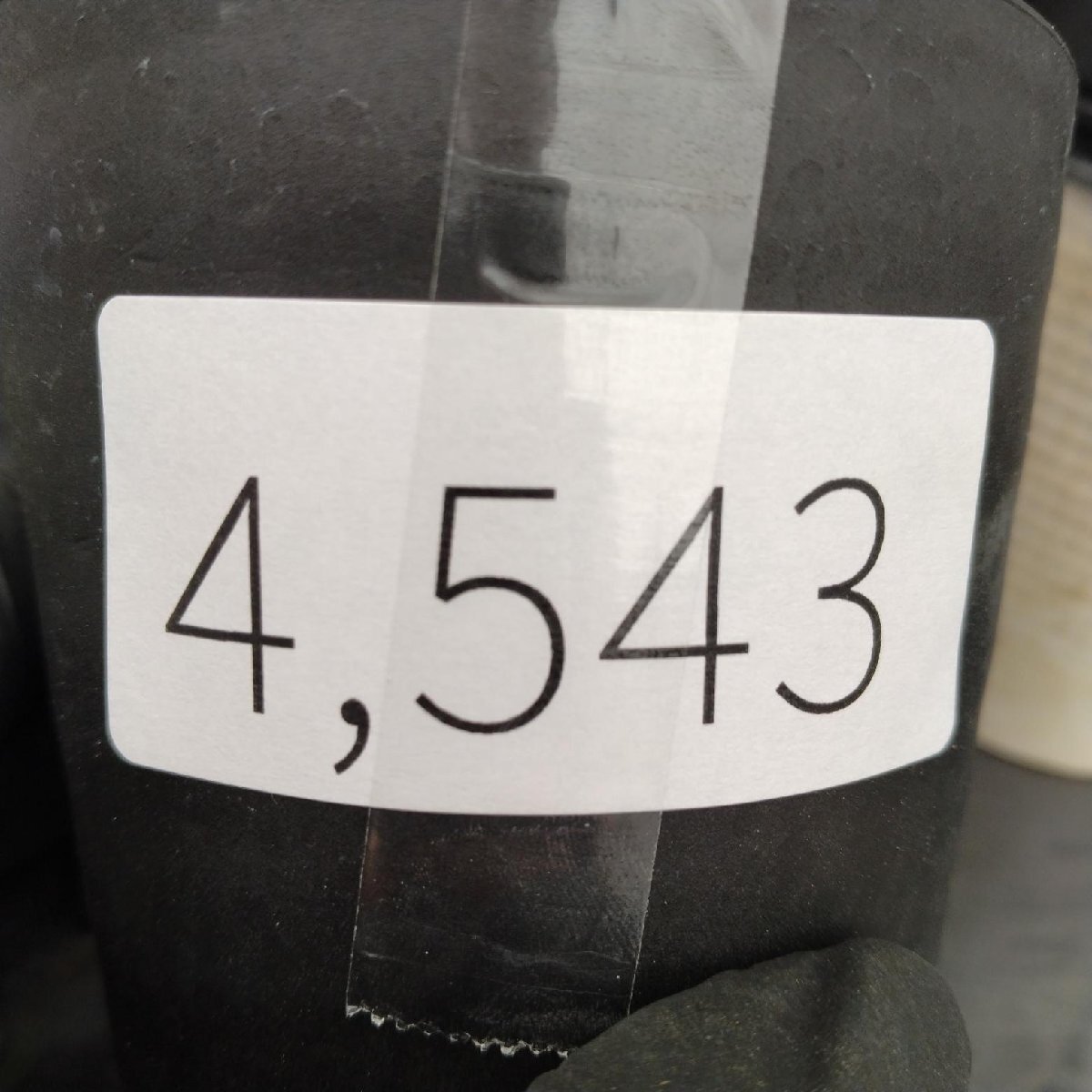 Yahoo!オークション - 4543 「塊根植物」マテレア シクロフィラ 植え【...