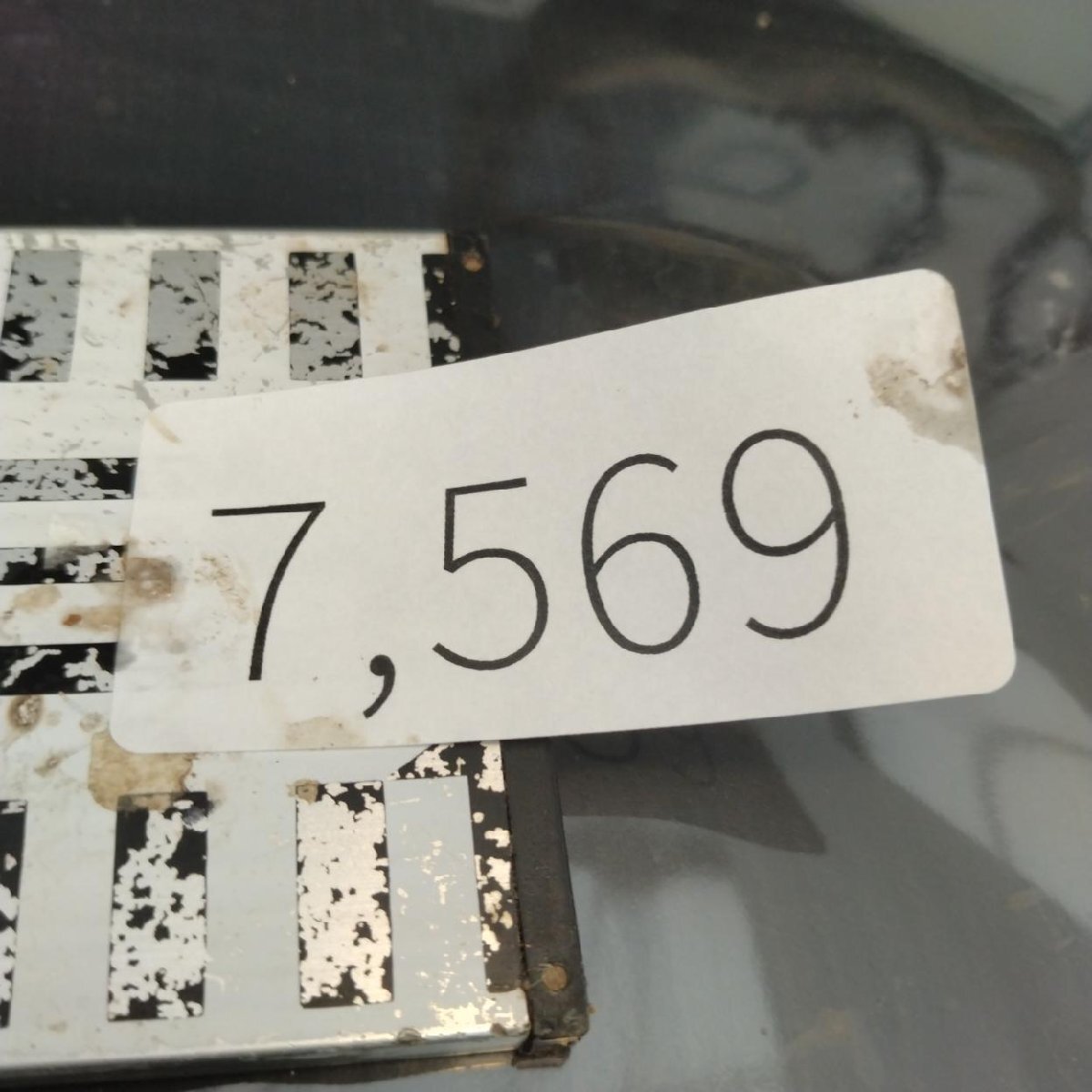 Yahoo!オークション - 7569 「1株購入でバオバブ種子プレゼント」パキ...