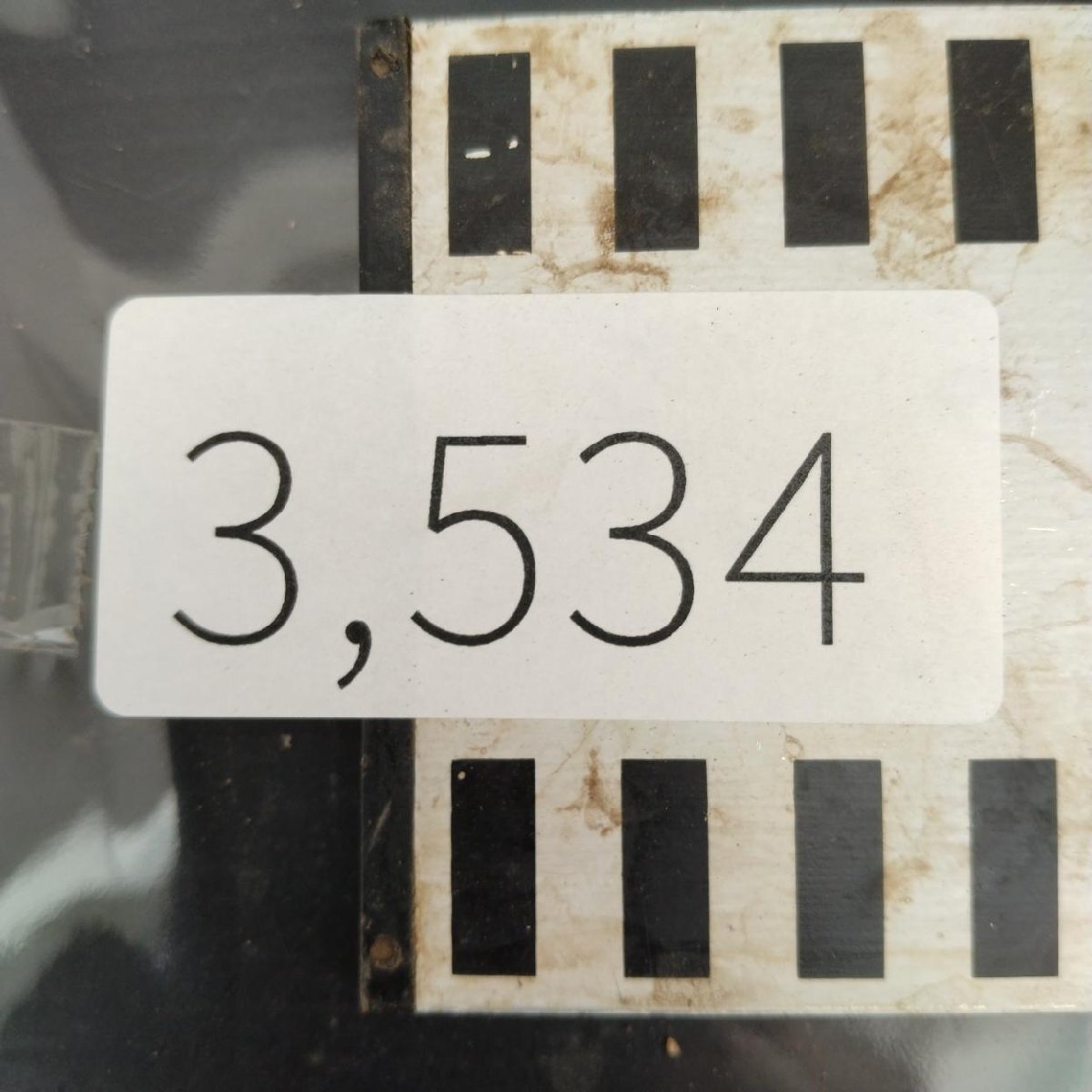 Yahoo!オークション - 3534 「多肉植物」ユーフォルビア ギラウミニア...