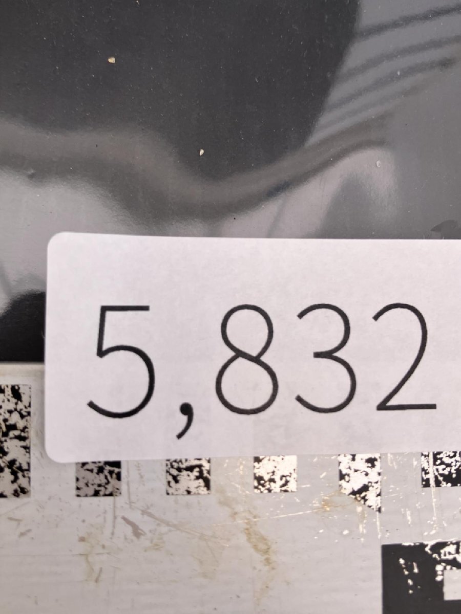 Yahoo!オークション - 5832 「観葉植物」サンセベリア エーレンベルギ...