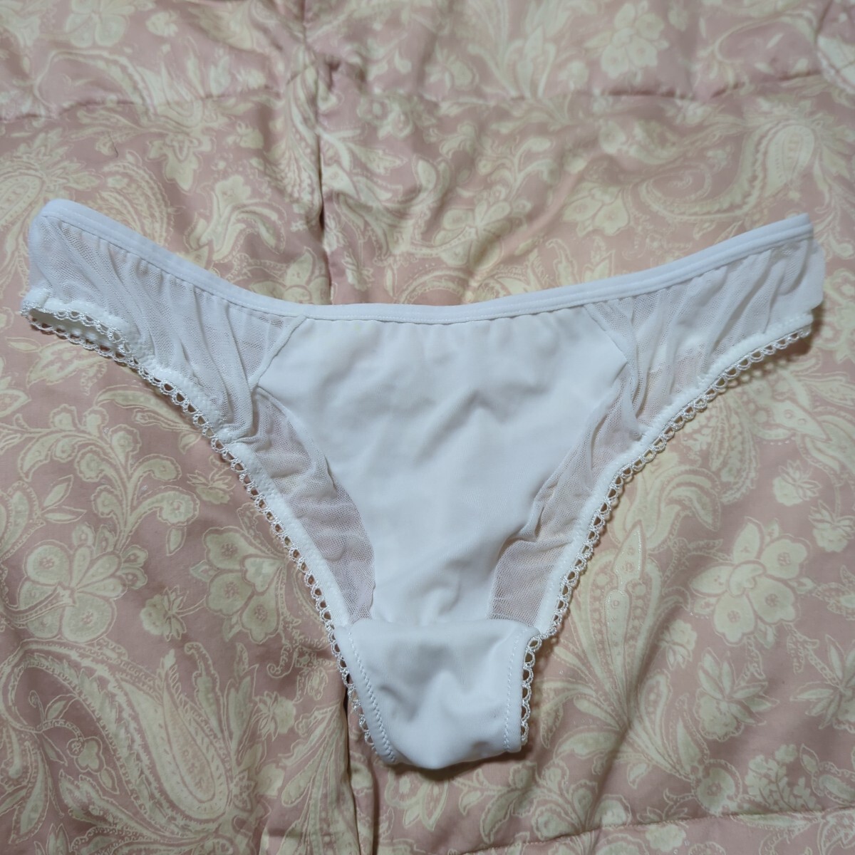 Yahoo!オークション - ecoTバックショーツ