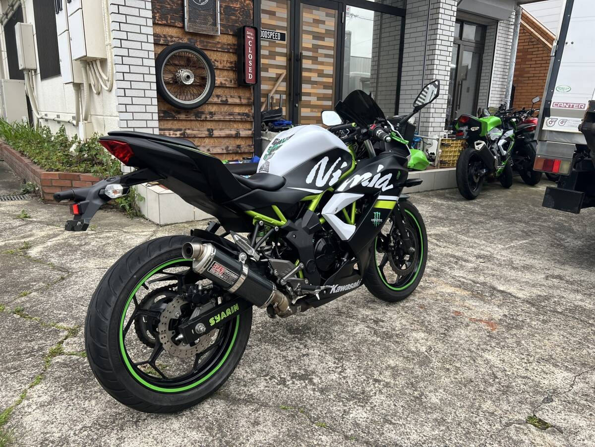 Yahoo!オークション - Ninja250SL 後期 海外モデル 13855㎞ レースベー...