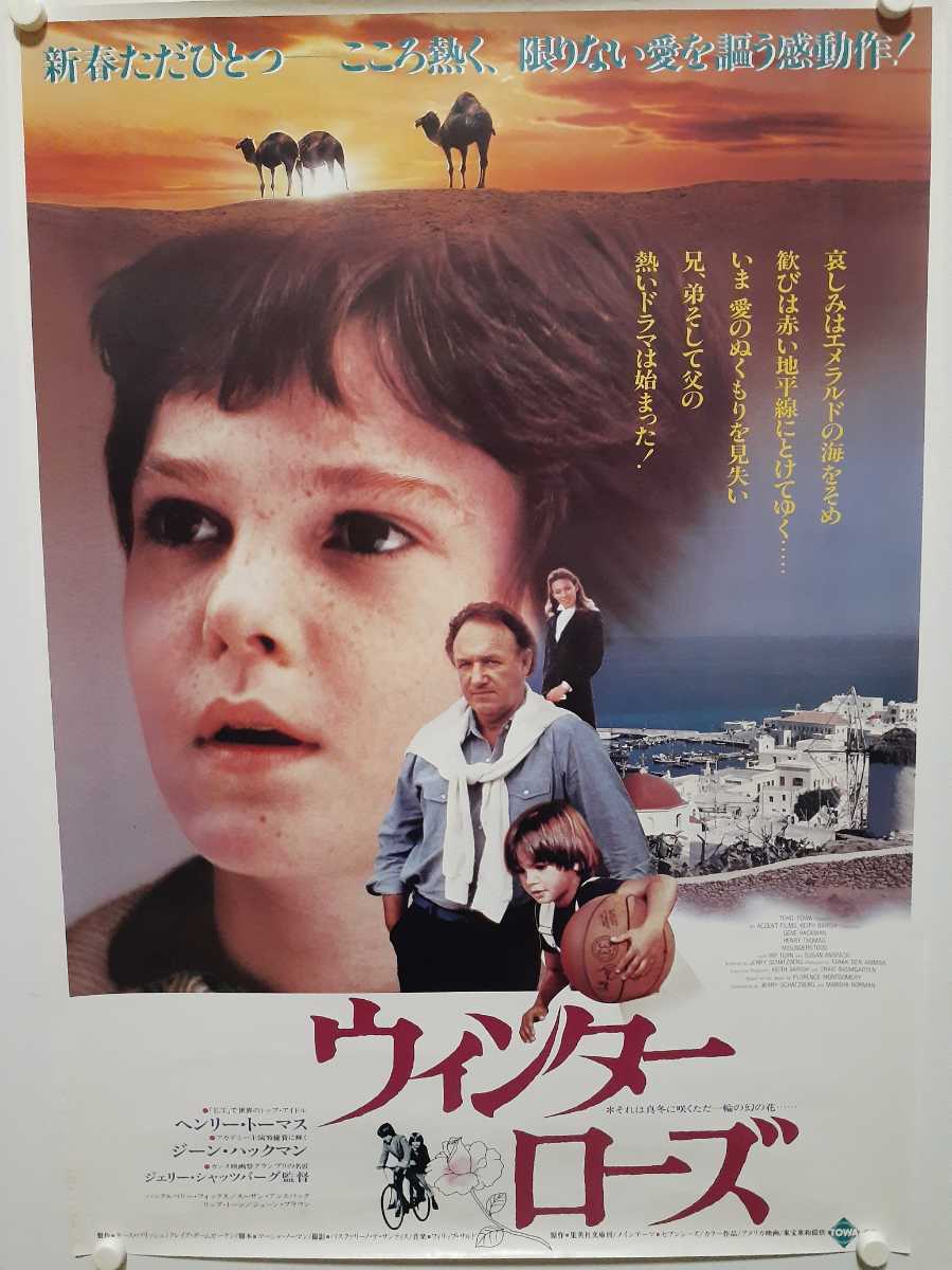 Yahoo!オークション - D74 映画 ウィンター・ローズ ポスター B2サイズ...