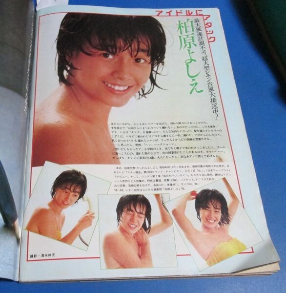 Yahoo!オークション - Y77)ゴローGORO1980年10/9松田聖子/笹原和美 河...