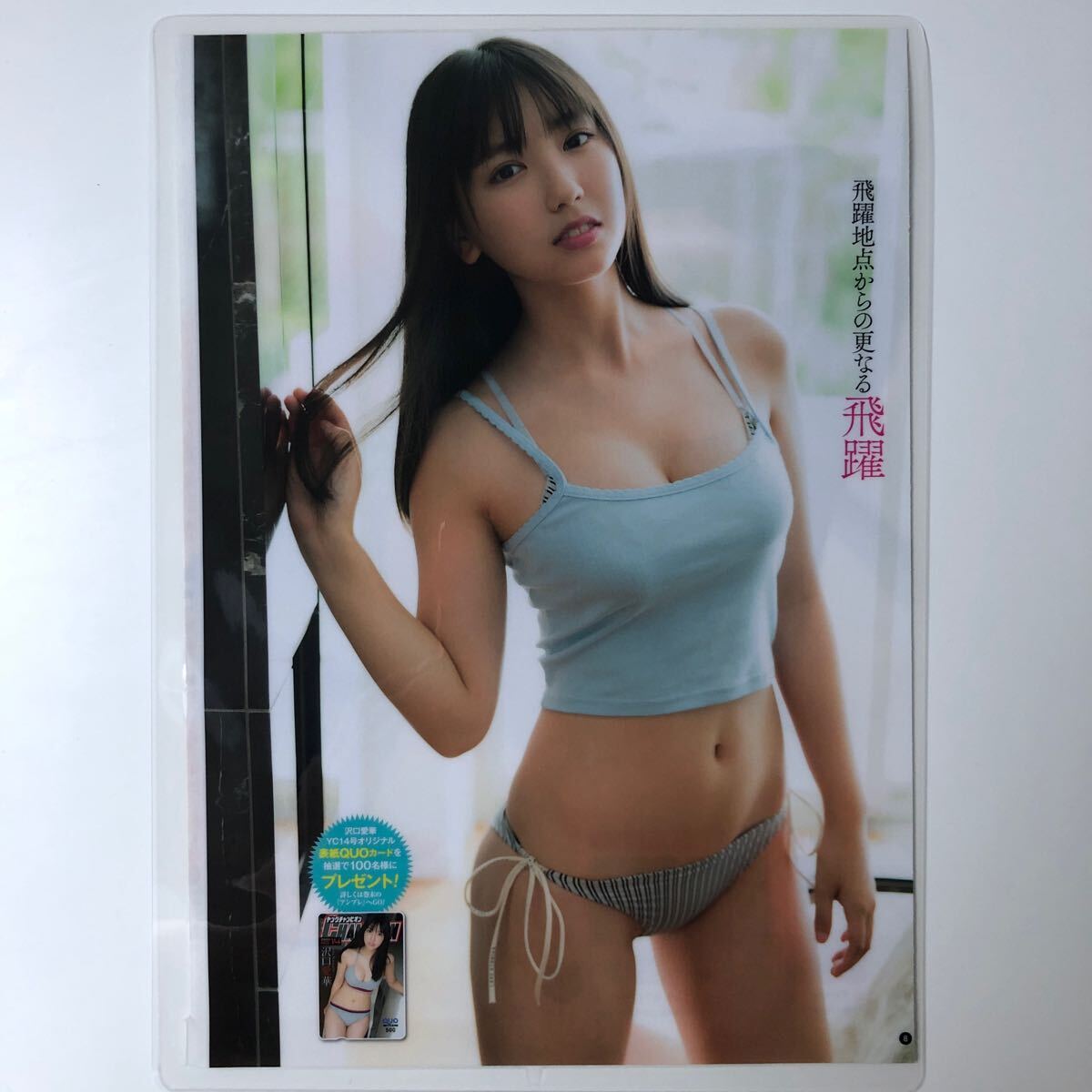 沢口愛華 ヤングチャンピオン2020.7.14 B5 10p ラミネート加工(タレント)｜売買されたオークション情報、yahooの商品情報をアーカイブ公開 - オークファン（aucfan.com）