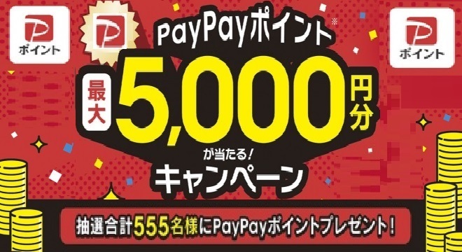Yahoo!オークション - 懸賞 応募券 ( PayPayポイント 5 000円分他 555...
