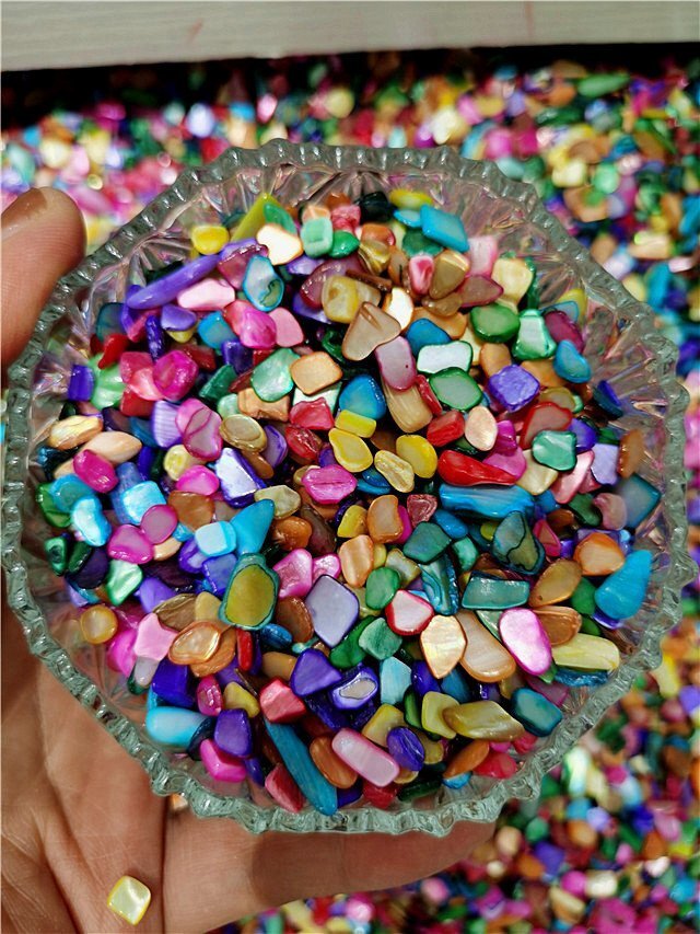 Yahoo!オークション - 【限定品】1000G 超綺麗貝殻チップ0611-YS-CBK-1...