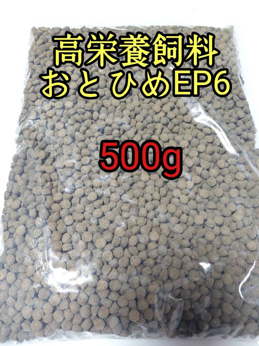 Yahoo!オークション - 高栄養飼料 おとひめEP6 500g 金魚の餌 熱帯魚...
