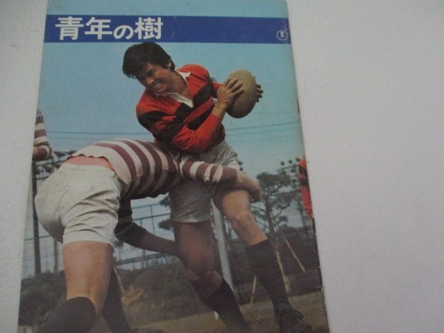 Yahoo!オークション - A4パンフNN26・青年の樹・三浦友和他