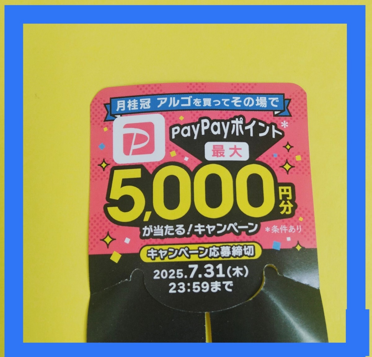 Yahoo!オークション - 5000円分のpaypayポイントが当たる 懸賞応募 応...
