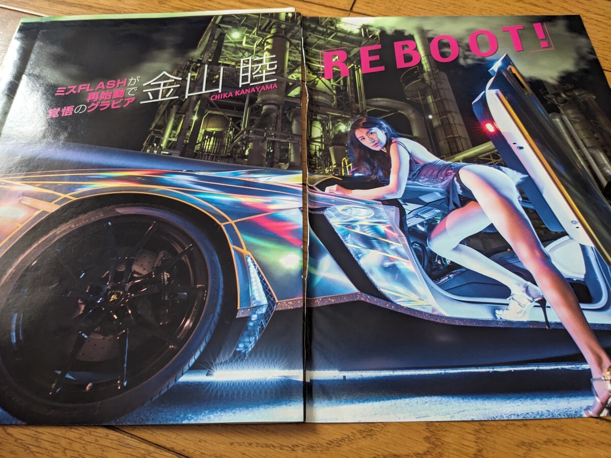 Yahoo!オークション - 金山陸 桜井玲香 凰かなめ フラッシュヌードグラ...