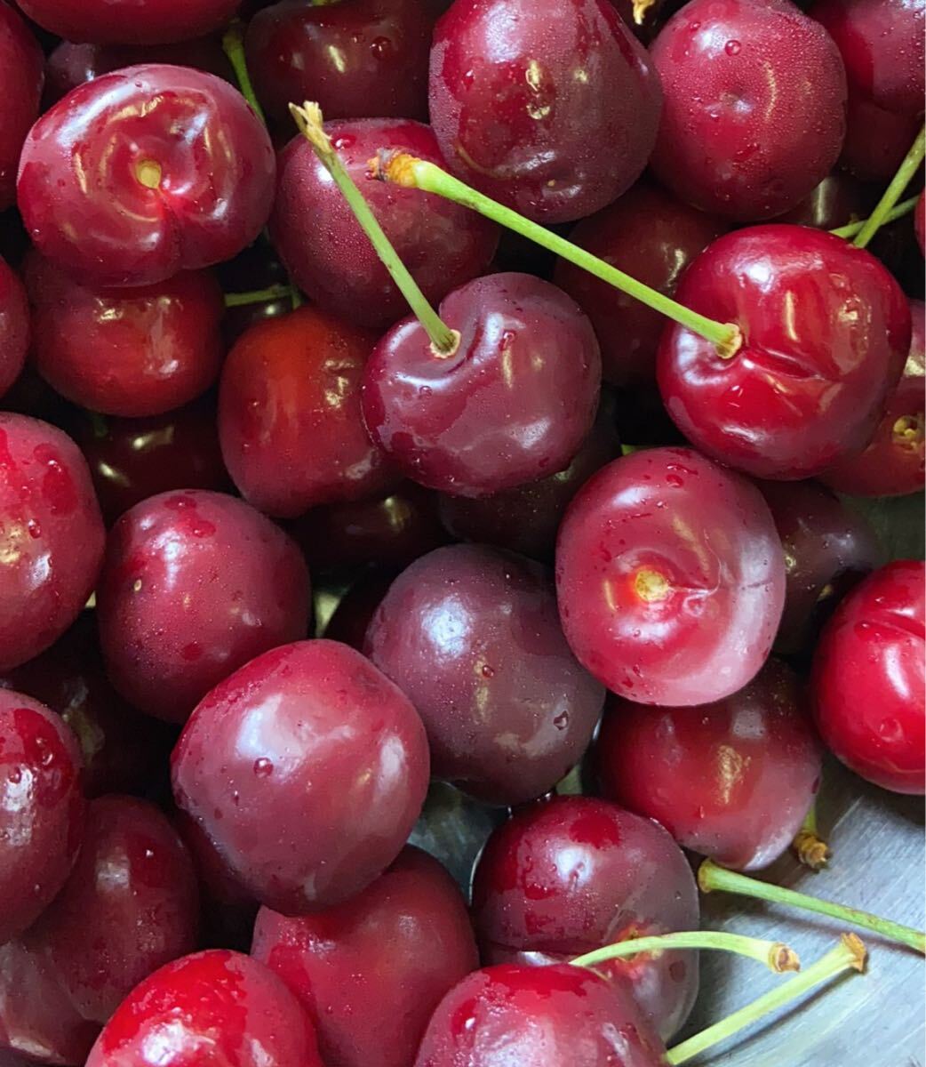 Yahoo!オークション - 超大粒 9.5r アメリカンチェリー箱こみ1kg 母の...