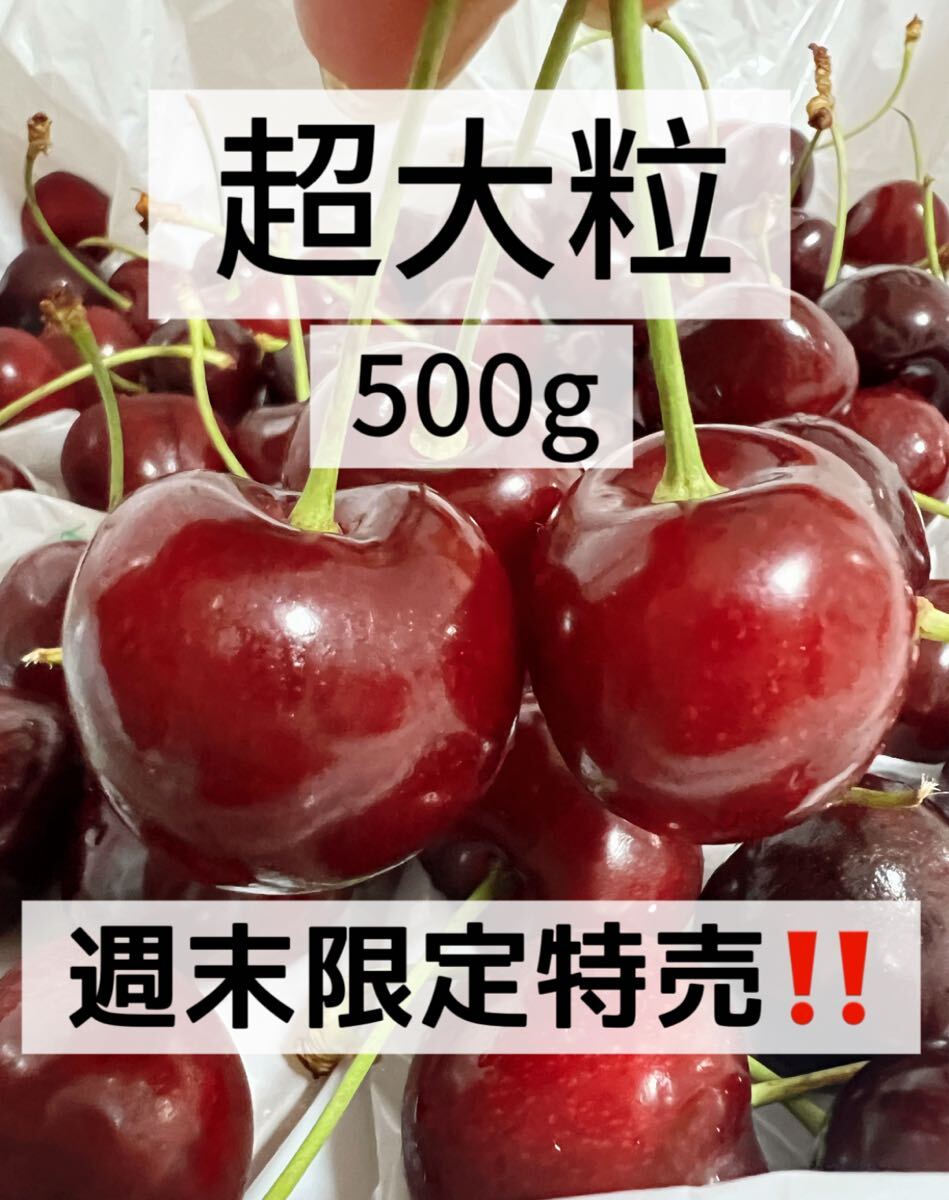 Yahoo!オークション - 9.5r超大粒アメリカンチェー500g 父の日 中元 家...