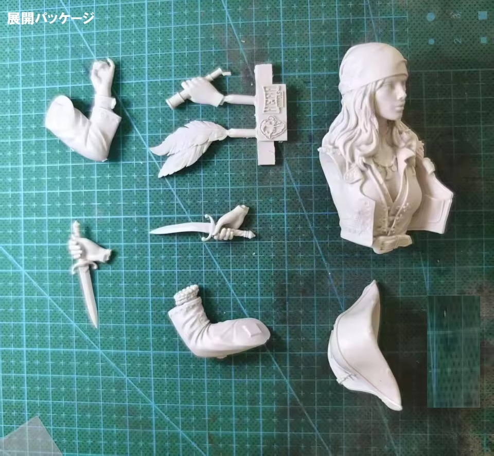 Yahoo!オークション - 約90mm バスト 模型 女 海賊 イザベル パイレー...