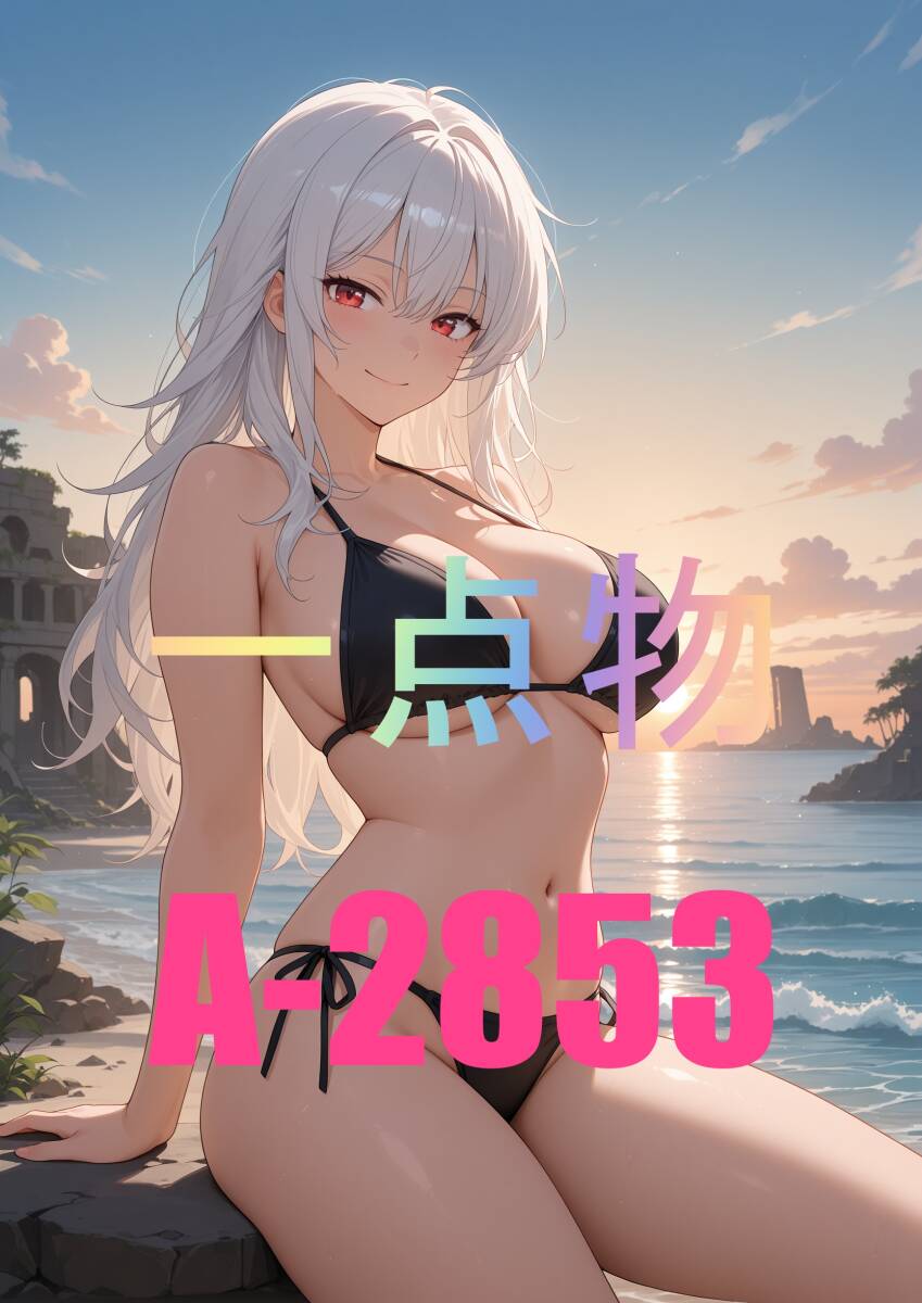 Yahoo!オークション - 【キャンペーン中・一点物】A-2853 美女 美人 A4...