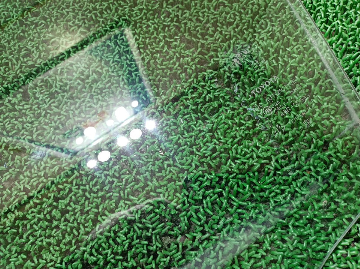 Yahoo!オークション - トヨタ 左フロントドアガラス プリウス DAA-ZVW3...