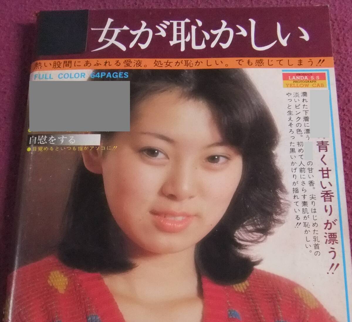 Yahoo!オークション - B30553/【成年雑誌】/『アダルト本』