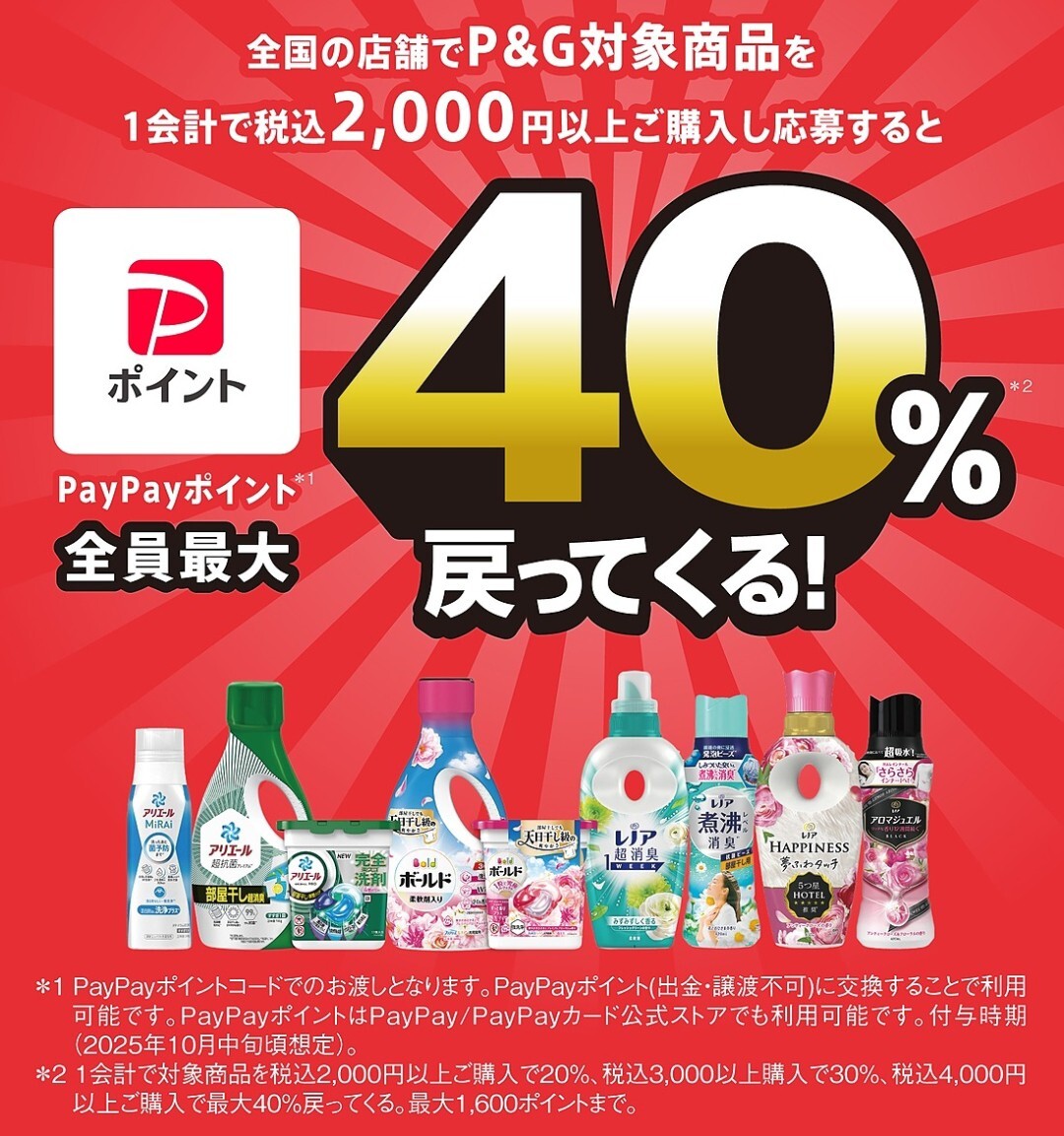 Yahoo!オークション - 絶対もらえるPayPayポイント1600円分 お一人様最...