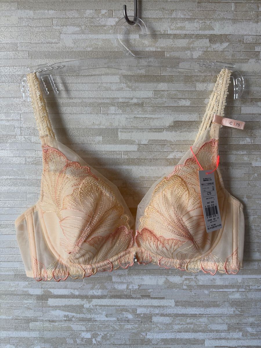 Yahoo!オークション - C75」トリンプ DeepV マーメイドシェル 人魚 ブ...