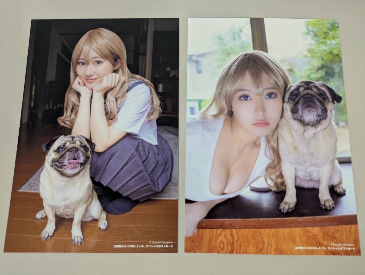 Yahoo!オークション - 田中美久×INNUイヌ スペシャルポストカード2枚...