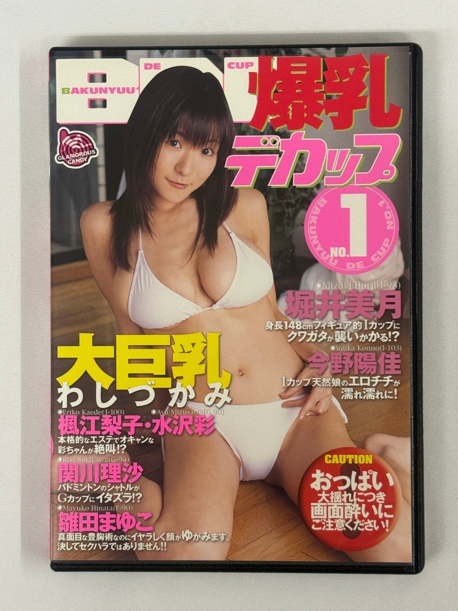 Yahoo!オークション - 中古DVD 爆乳デカップ NO.1 [3751]