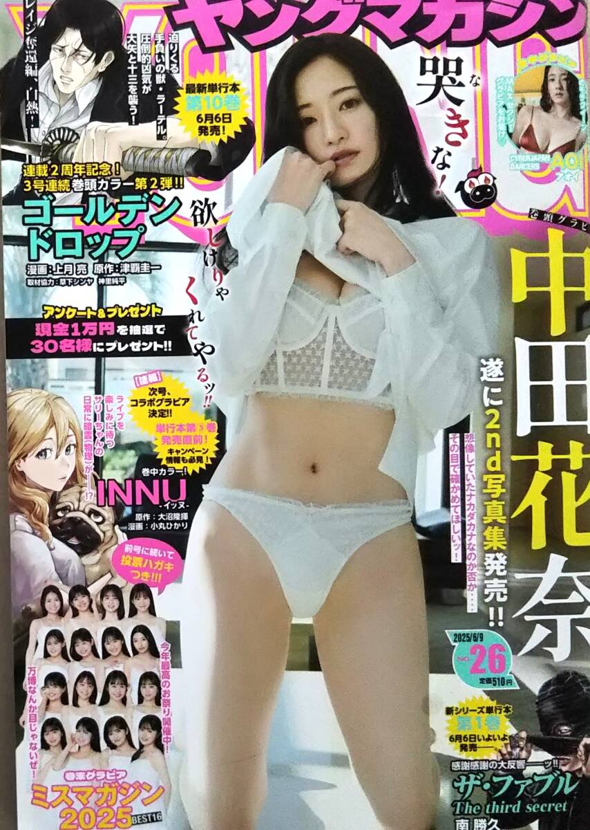 Yahoo!オークション - 中田花奈/AOI/ゴールデンドロップ/INNU/みょーち...