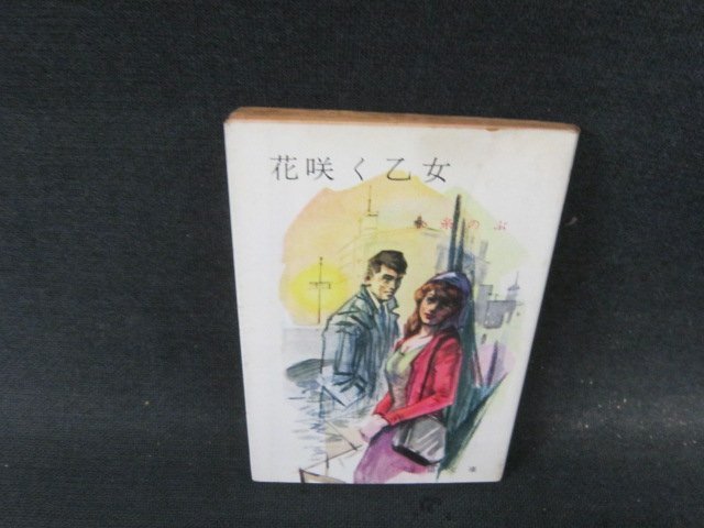 Yahoo!オークション - 花咲く乙女 小糸のぶ 春陽文庫/JDX