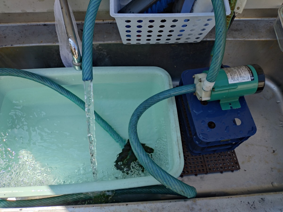 Yahoo!オークション - イワキ レイシーマグネットポンプ MD−15R-N ② ...