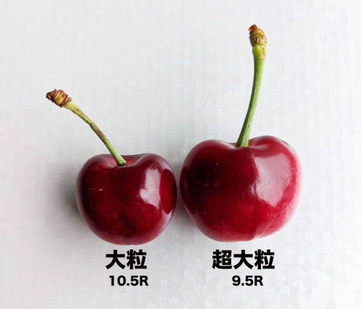 Yahoo!オークション - 超大粒 9.5r アメリカンチェリー箱こみ1kg 父の...